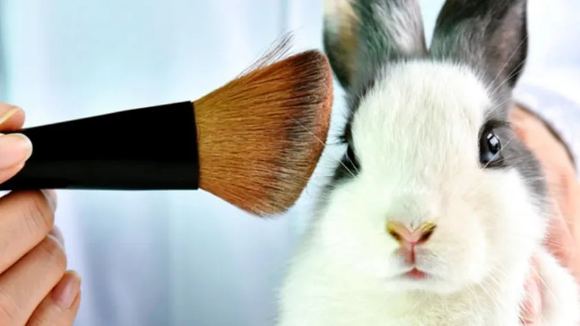 Brasil prohíbe el uso de animales para pruebas de la industria cosmética