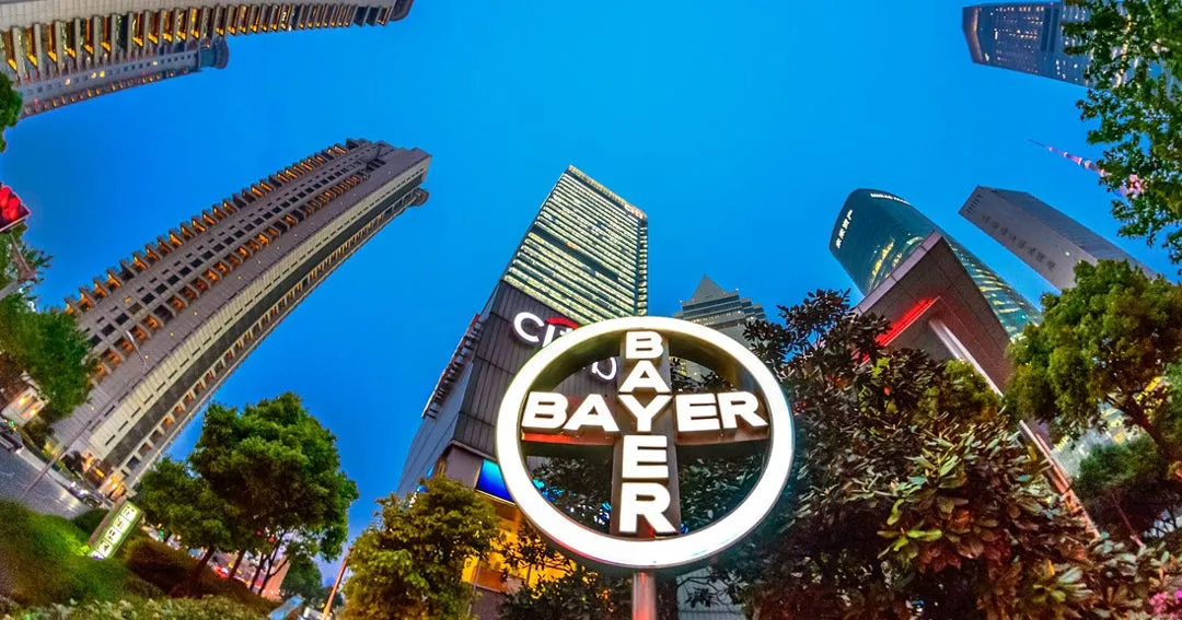 Bayer publicó sus resultados anuales para 2021: crecimientos ...
